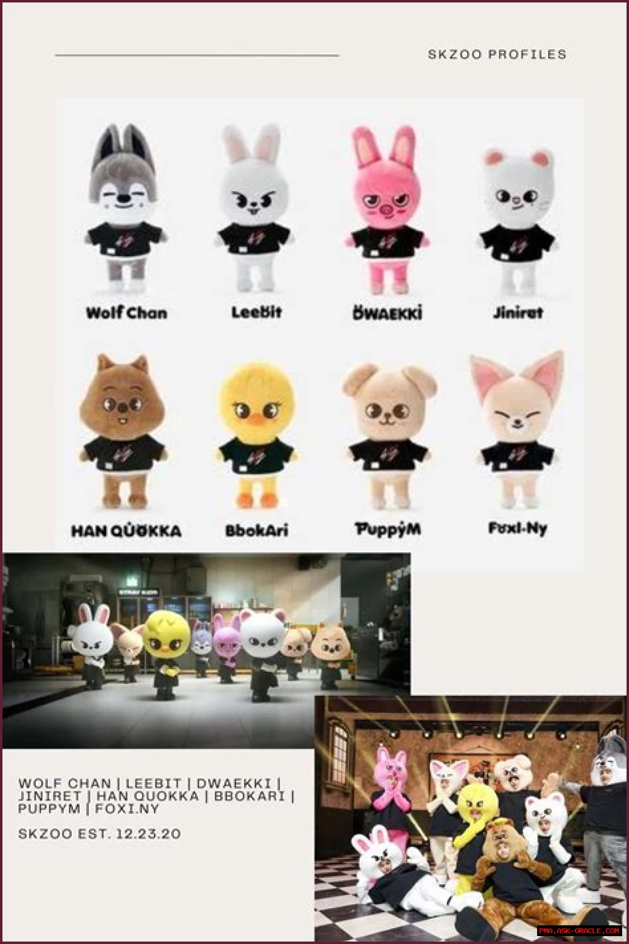 Ultimate Guide To Understanding The SKZOO Characters Of Stray Kids